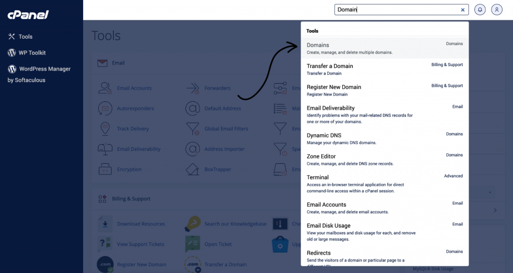 Create an Addon Domain in cPanel: 15 Easy Steps | Nest Nepal