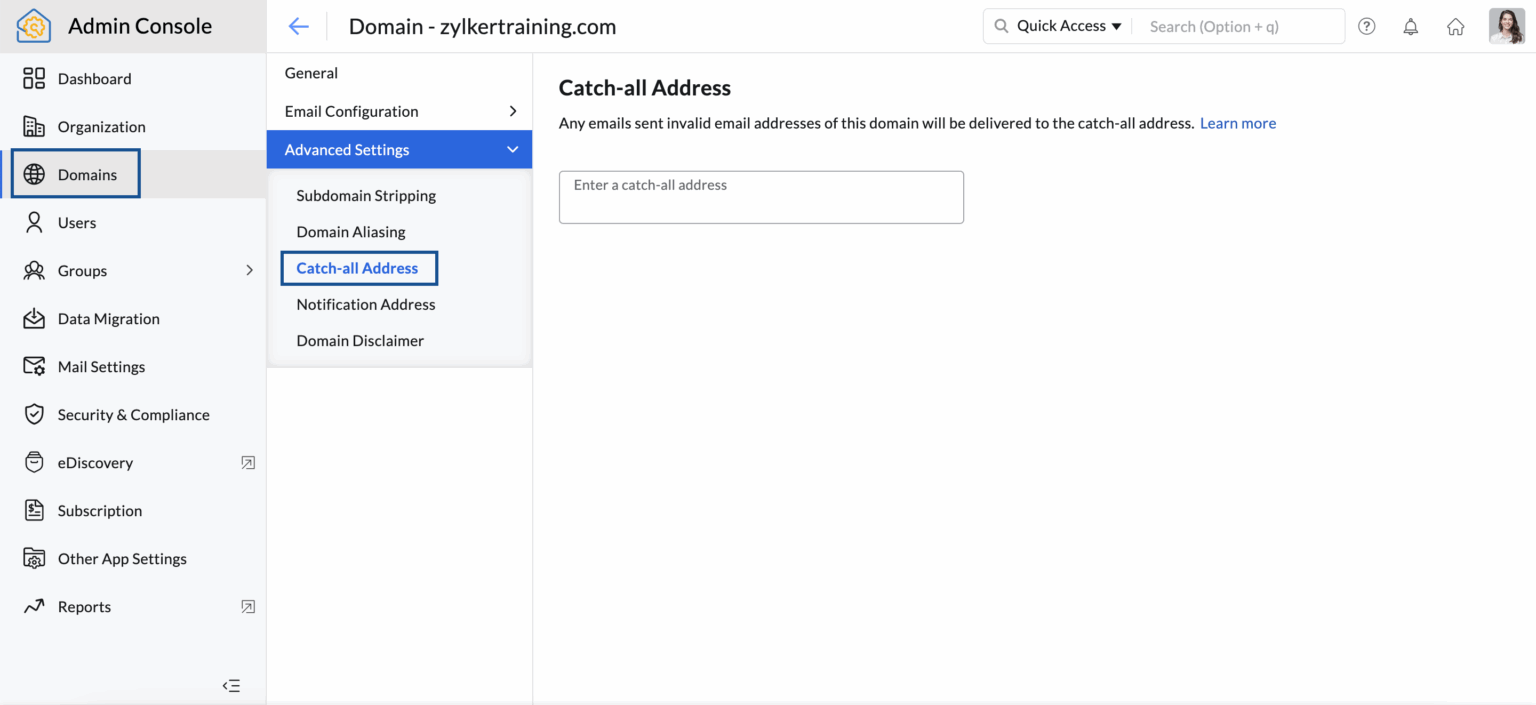 Catch-All Email Explained: Never Miss a Client Email in 2025